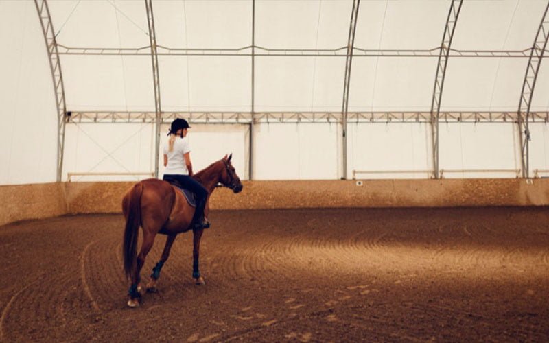 Using Equestrian Rubber Chippings as Rubber for Horse Arenas