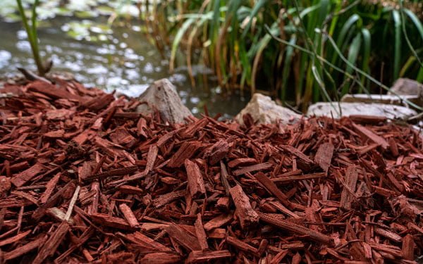 Coloured Bark: The Pros And Cons Of This Mulch With Attitude