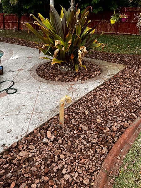 Cocoa Shells: A Naturally Powerful Weed and Pest Deterrent