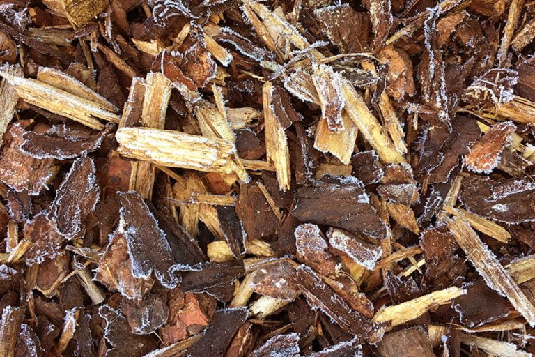 Decorative Bark: Specifications and Uses of Ornamental Bark