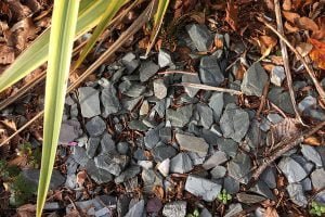 DIY Homeowners Guide on How to Clean Garden Stones Easily