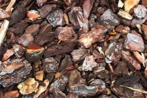 Play Bark: Guide to the Various Bark Products for Play Areas