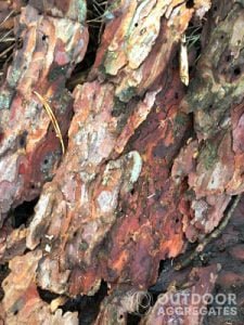 Play Bark: Guide to the Various Bark Products for Play Areas