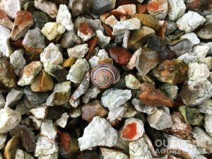 Foundations in Landscaping: Understanding Gravel Sizes