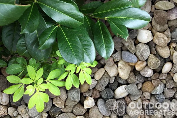 Grey Pea Gravel for Resin-Bonding to Loose-Fill Hardscaping