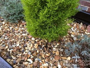 Pea Shingle: Is it the Same as Pea Gravel? We Demystify it.