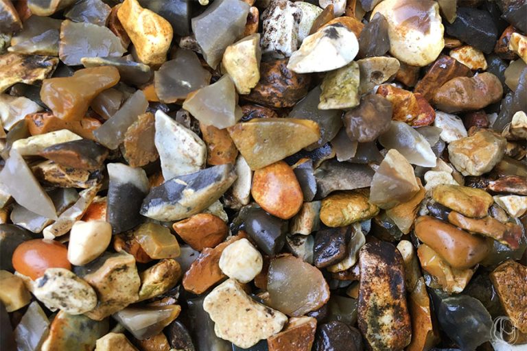Pea Shingle: Is it the Same as Pea Gravel? We Demystify it.