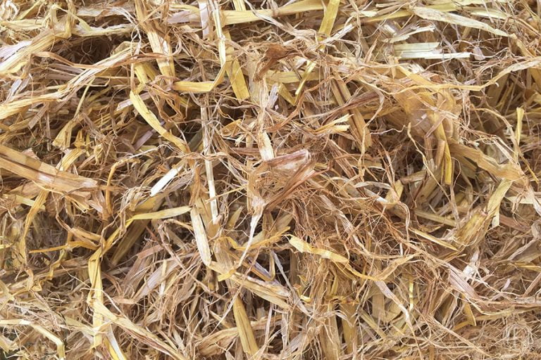 Strulch: Unbiased Guide to This Organic Straw Mulch Product