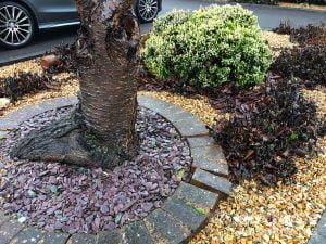 Blue Slate Garden Ideas: A Primer to Inspire the DIYer