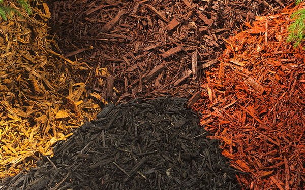 14 of the Best Garden Mulch Types: Our Ultimate Guide