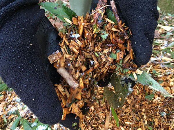 Exploring the Benefits of Using Natural Bark for Play Areas