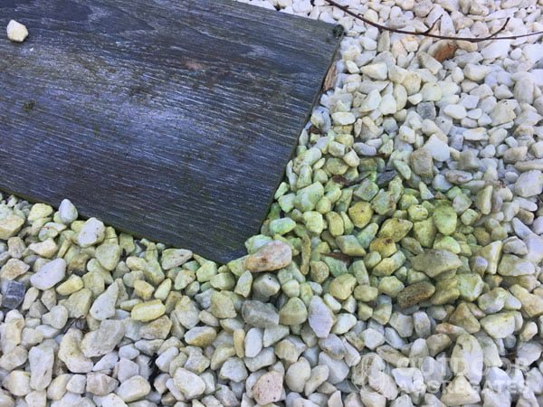 DIY Homeowners Guide on How to Clean Garden Stones Easily