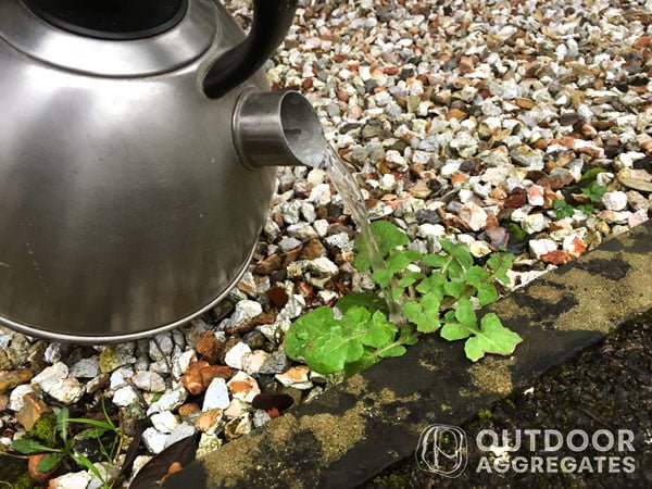 DIY Homeowners Guide on How to Clean Garden Stones Easily