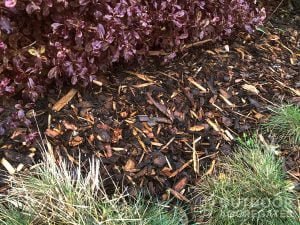 Guide on How to Use Bark Chippings for Natural Garden Health