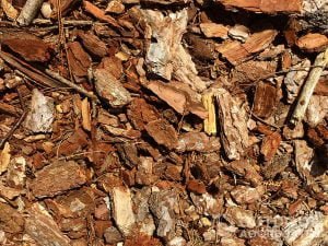 Guide on How to Use Bark Chippings for Natural Garden Health